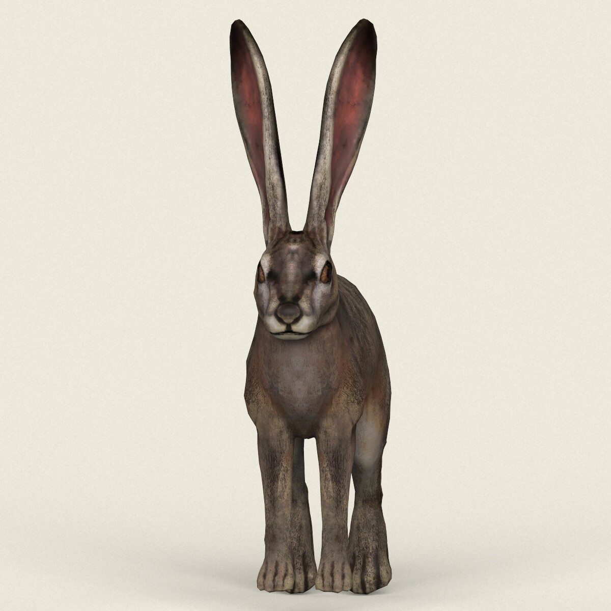 ArtStation - Rabbit Low Poly PBR Ready 3D Model | Game Assets