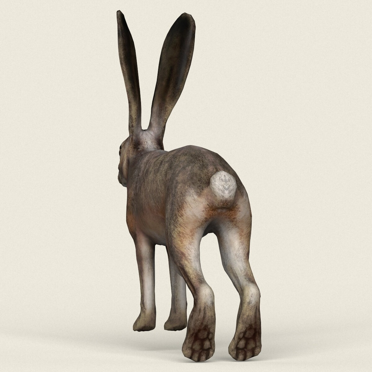 ArtStation - Rabbit Low Poly PBR Ready 3D Model | Game Assets