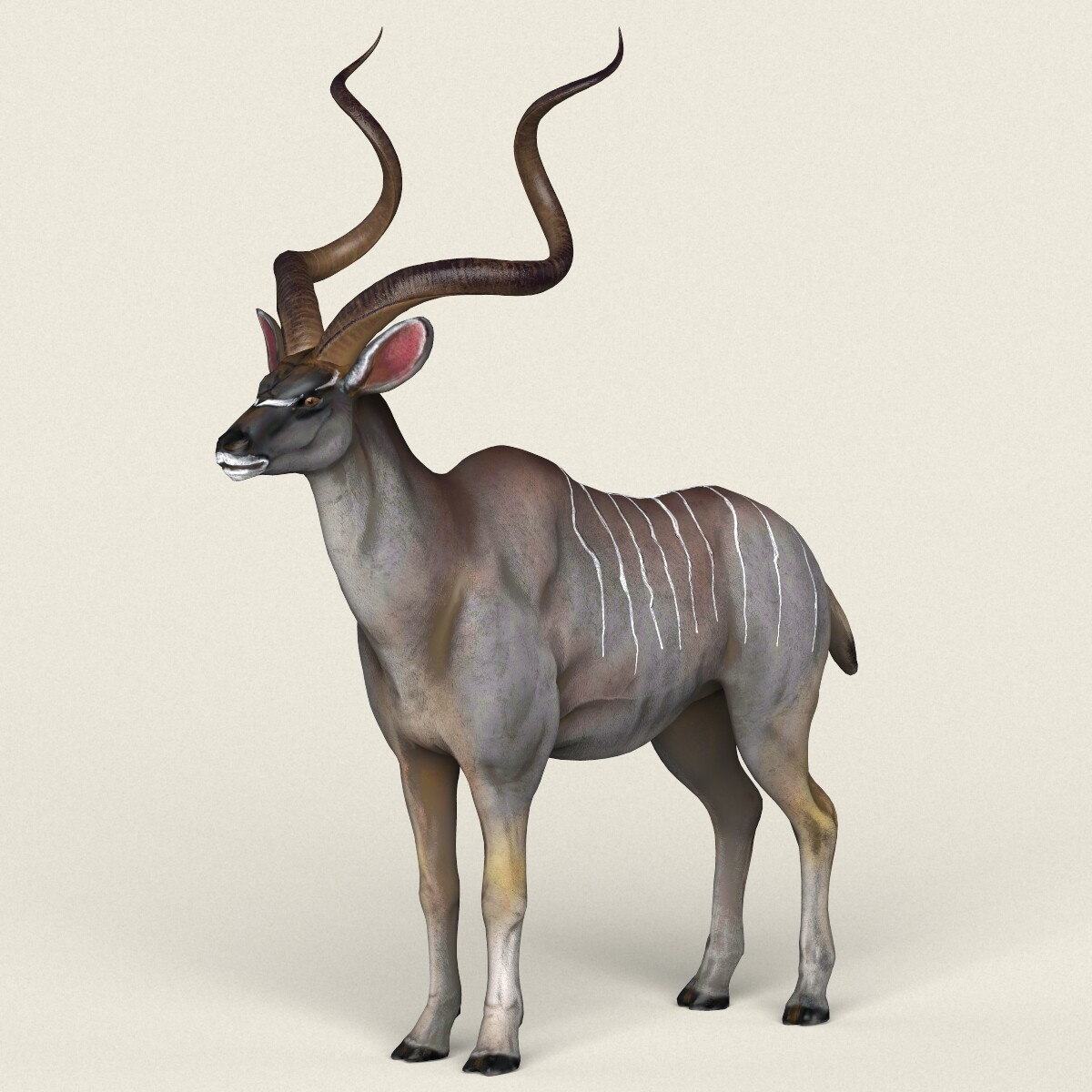 ArtStation - Kudu Low Poly PBR Ready 3D Model | Game Assets