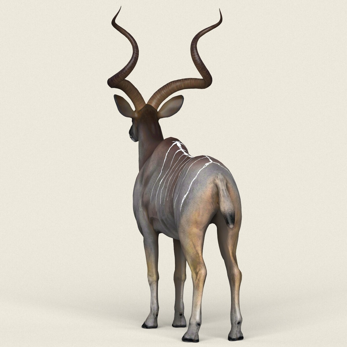 ArtStation - Kudu Low Poly PBR Ready 3D Model | Game Assets