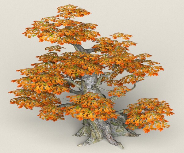 ArtStation - Fantasy Maple Tree Collection | Resources