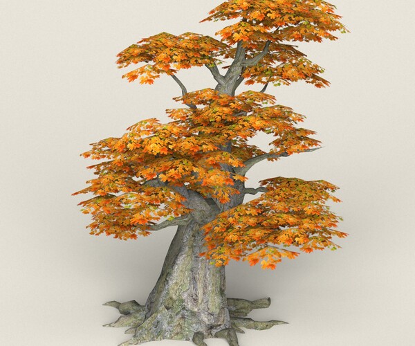 ArtStation - Fantasy Maple Tree Collection | Resources