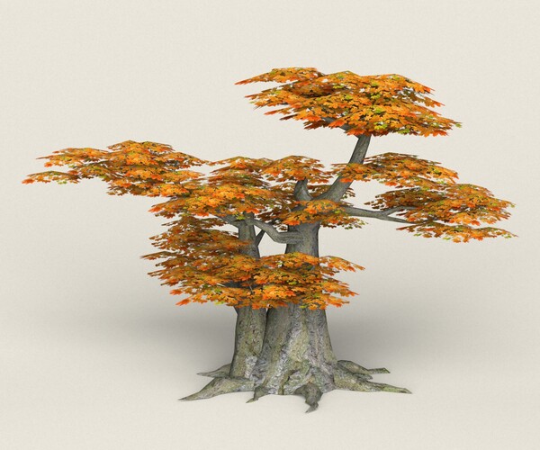ArtStation - Fantasy Maple Tree Collection | Resources