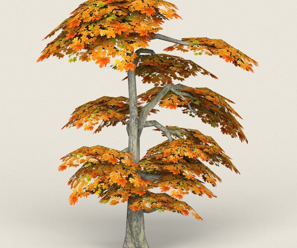 ArtStation - Fantasy Maple Tree Collection | Resources