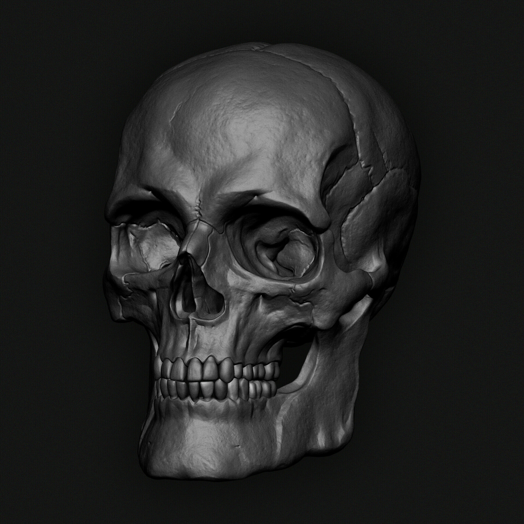 ArtStation - Male Skull | Resources