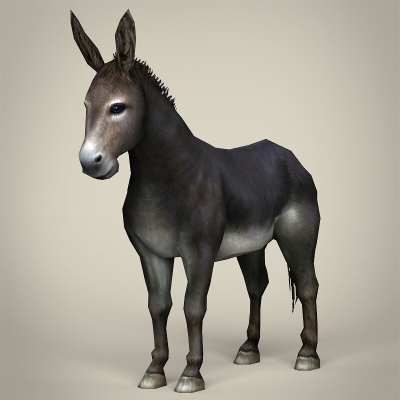 ArtStation - Game Ready Realistic Donkey | Game Assets