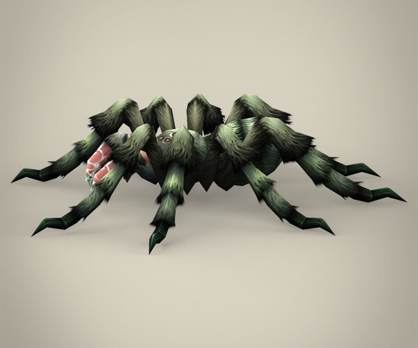 ArtStation - Game Ready Spider Tarantula | Game Assets