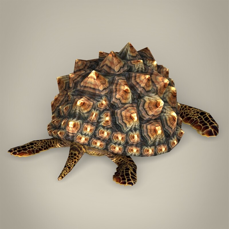 ArtStation - Game Ready Mountain Tortoise | Game Assets