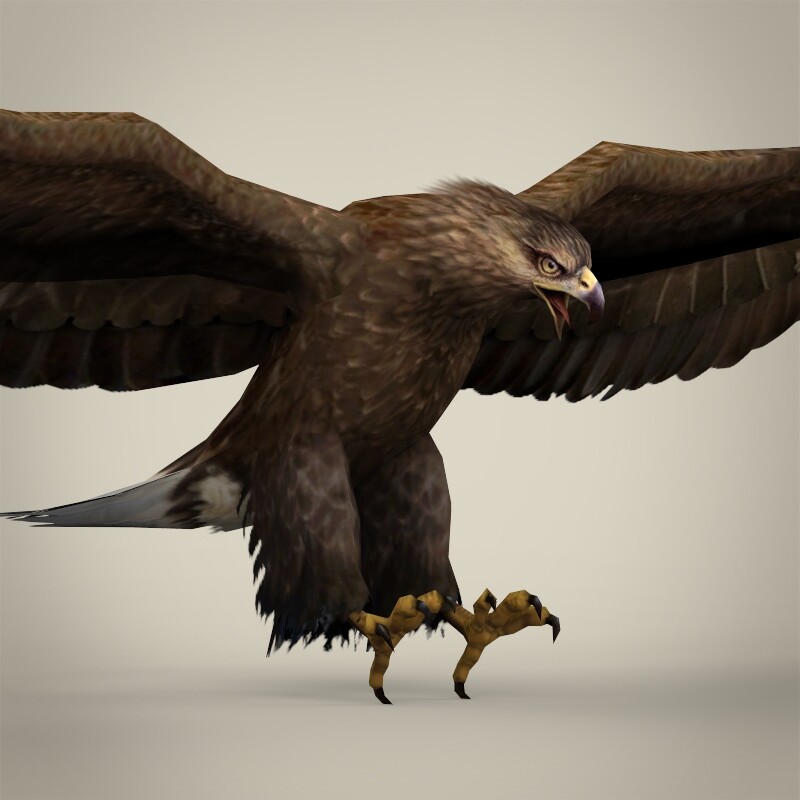 ArtStation - Game Ready Low Poly Eagle | Game Assets