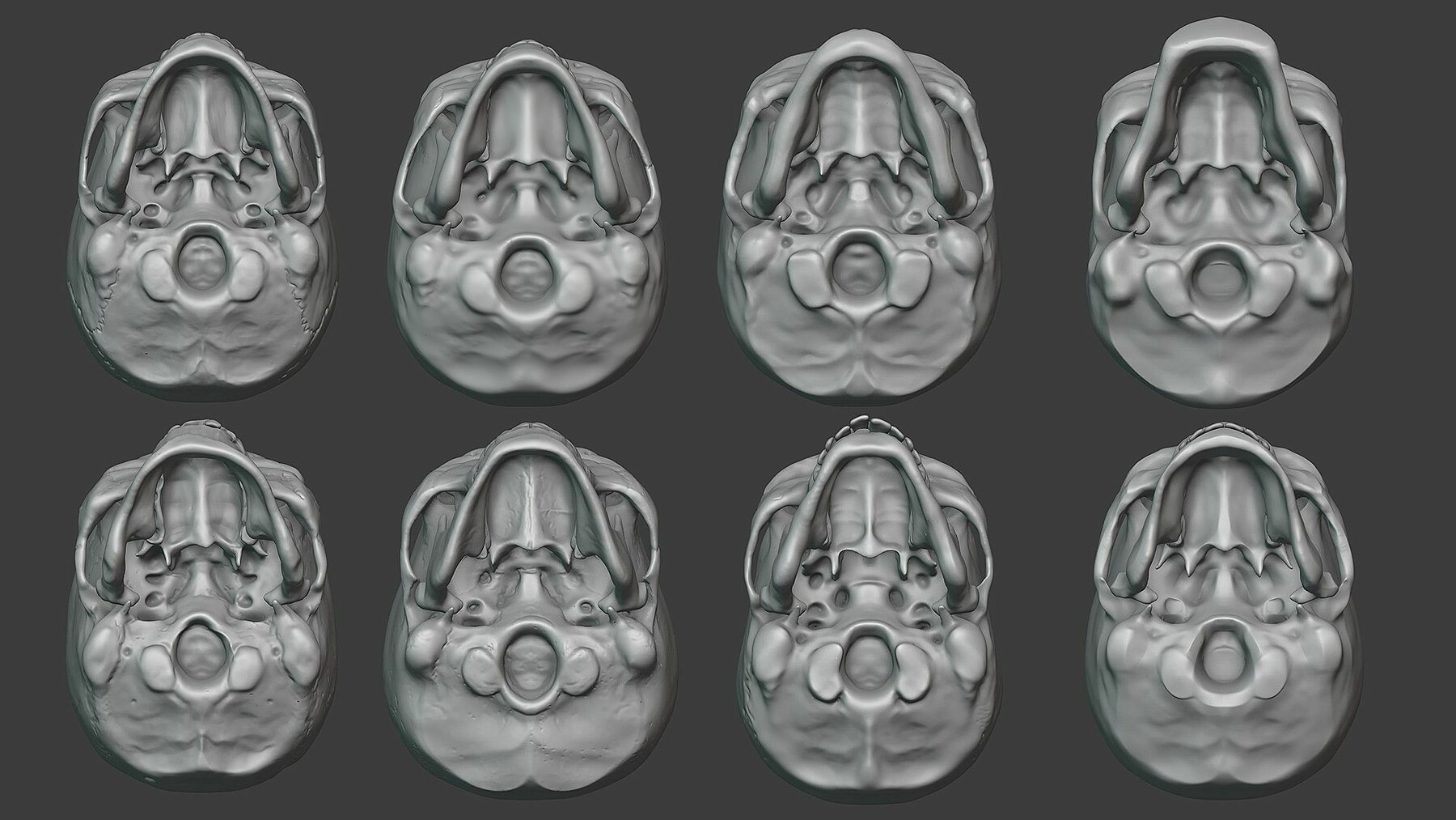ArtStation - Skulls sculpt pack | Resources