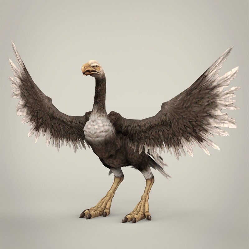 ArtStation - Game Ready Fantasy Vulture | Game Assets
