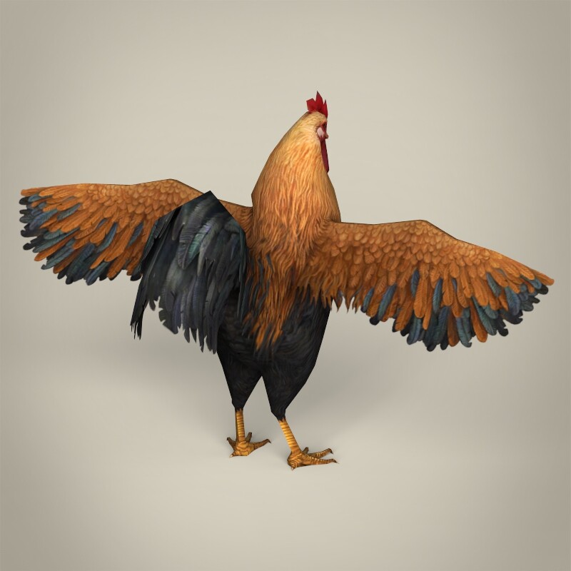 ArtStation - Game Ready Realistic Rooster | Game Assets
