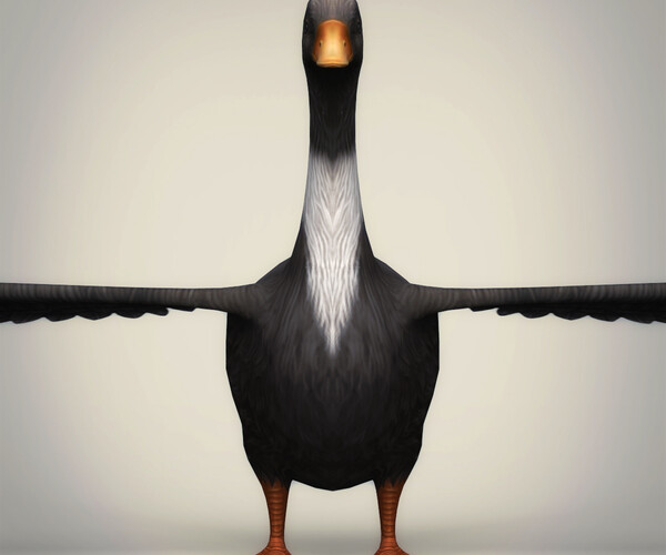 ArtStation - Low Poly Realistic Duck | Game Assets