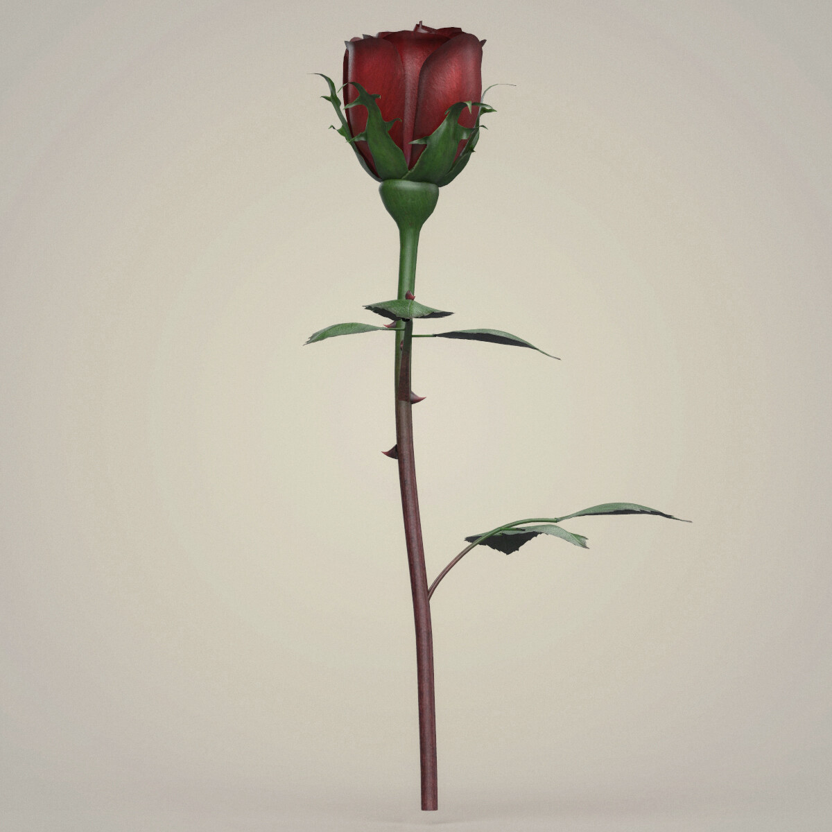 ArtStation - Rose Flower Collection | Game Assets