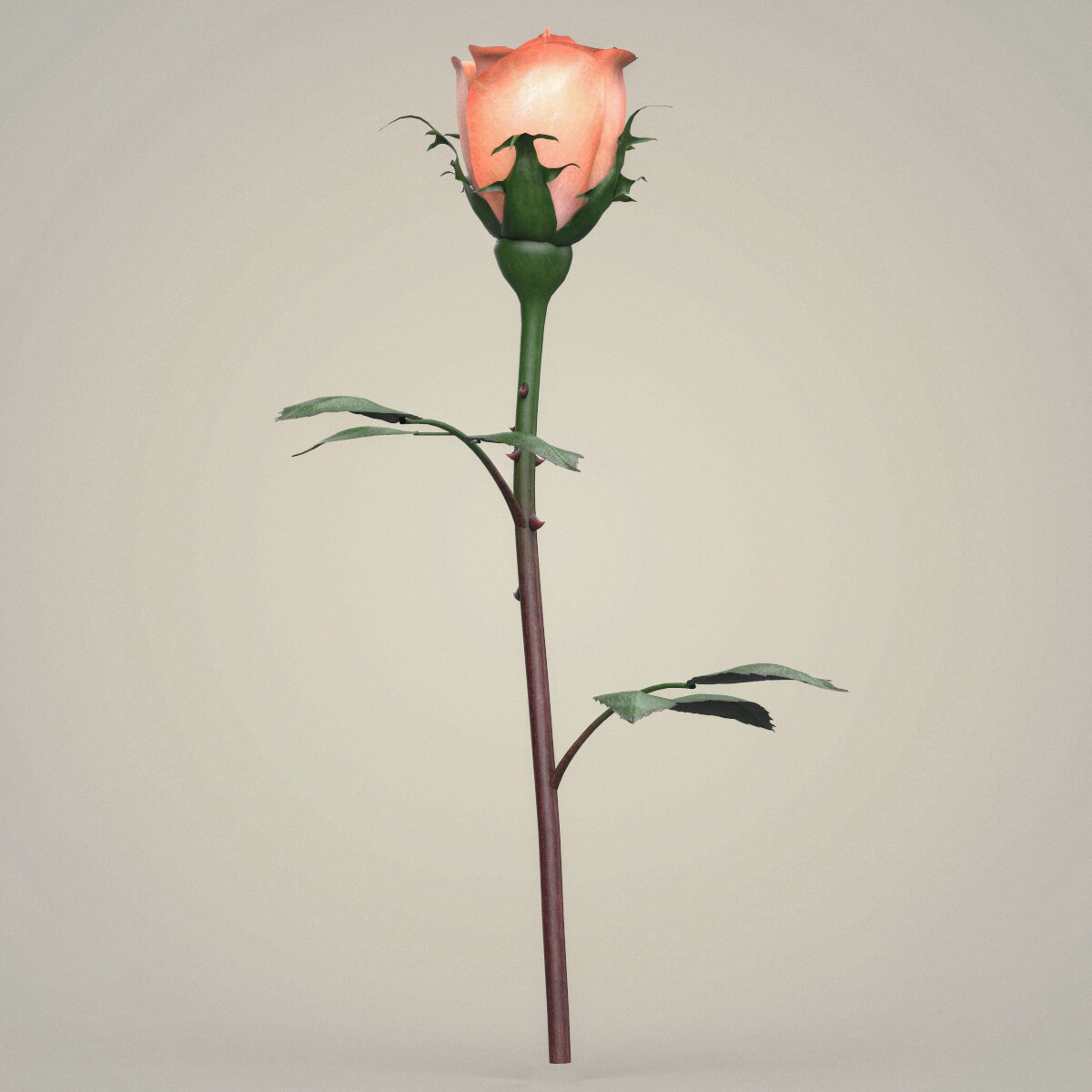 ArtStation - Rose Flower Collection | Game Assets