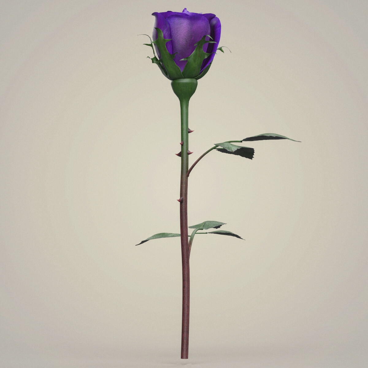 ArtStation - Rose Flower Collection | Game Assets