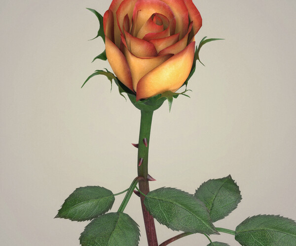 ArtStation - Rose Flower Collection | Game Assets