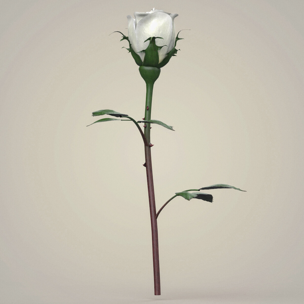 ArtStation - Rose Flower Collection | Game Assets