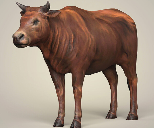 ArtStation - Game Ready Bull | Game Assets