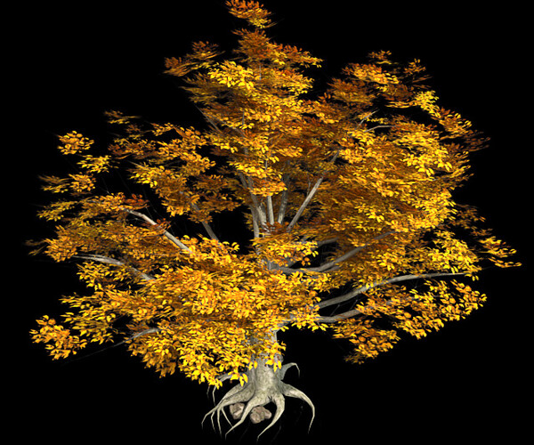 ArtStation - American Beech Fall Tree | Resources