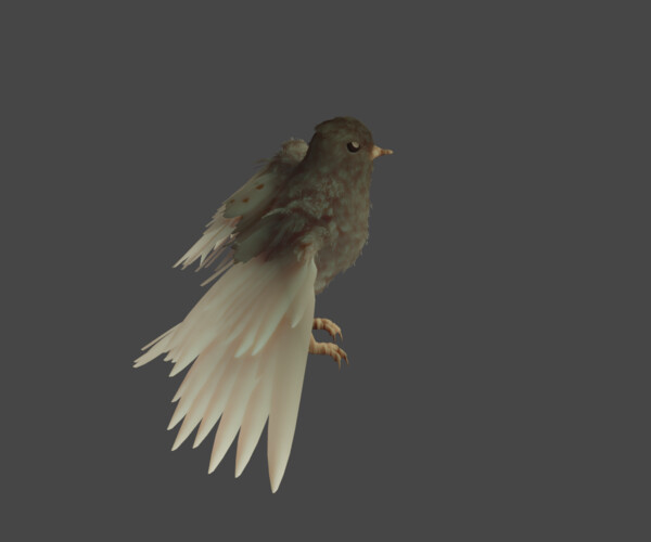 ArtStation - Small Bird | Game Assets