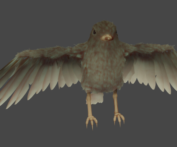 ArtStation - Small Bird | Game Assets