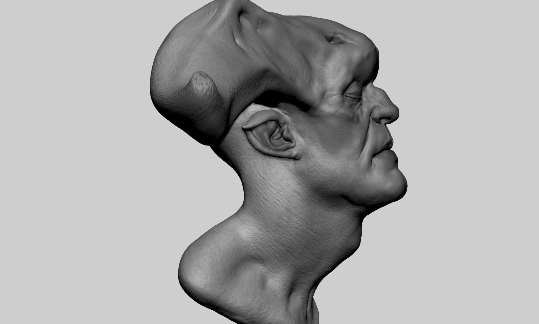 ArtStation - Fantasy Creature Head 04 | Resources