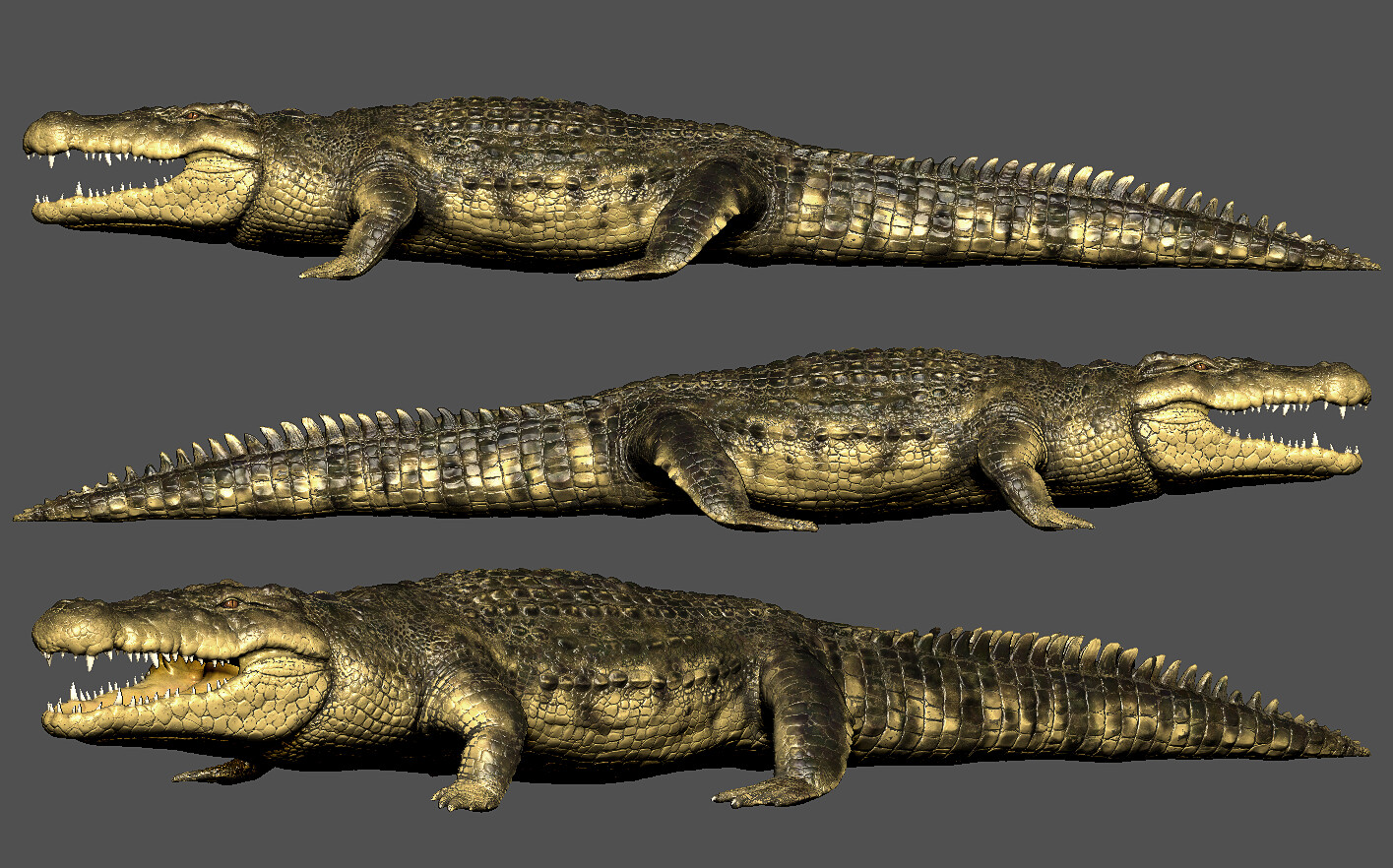 ArtStation - Crocodile | Resources
