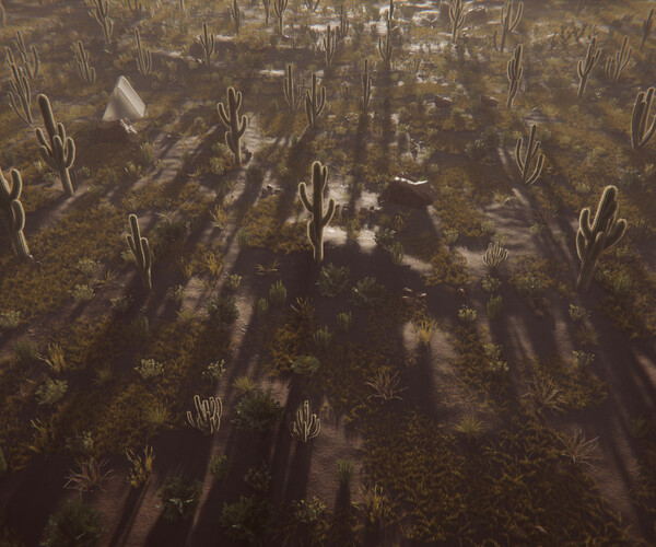 ArtStation - Mexican Desert (Unity Package) | Game Assets