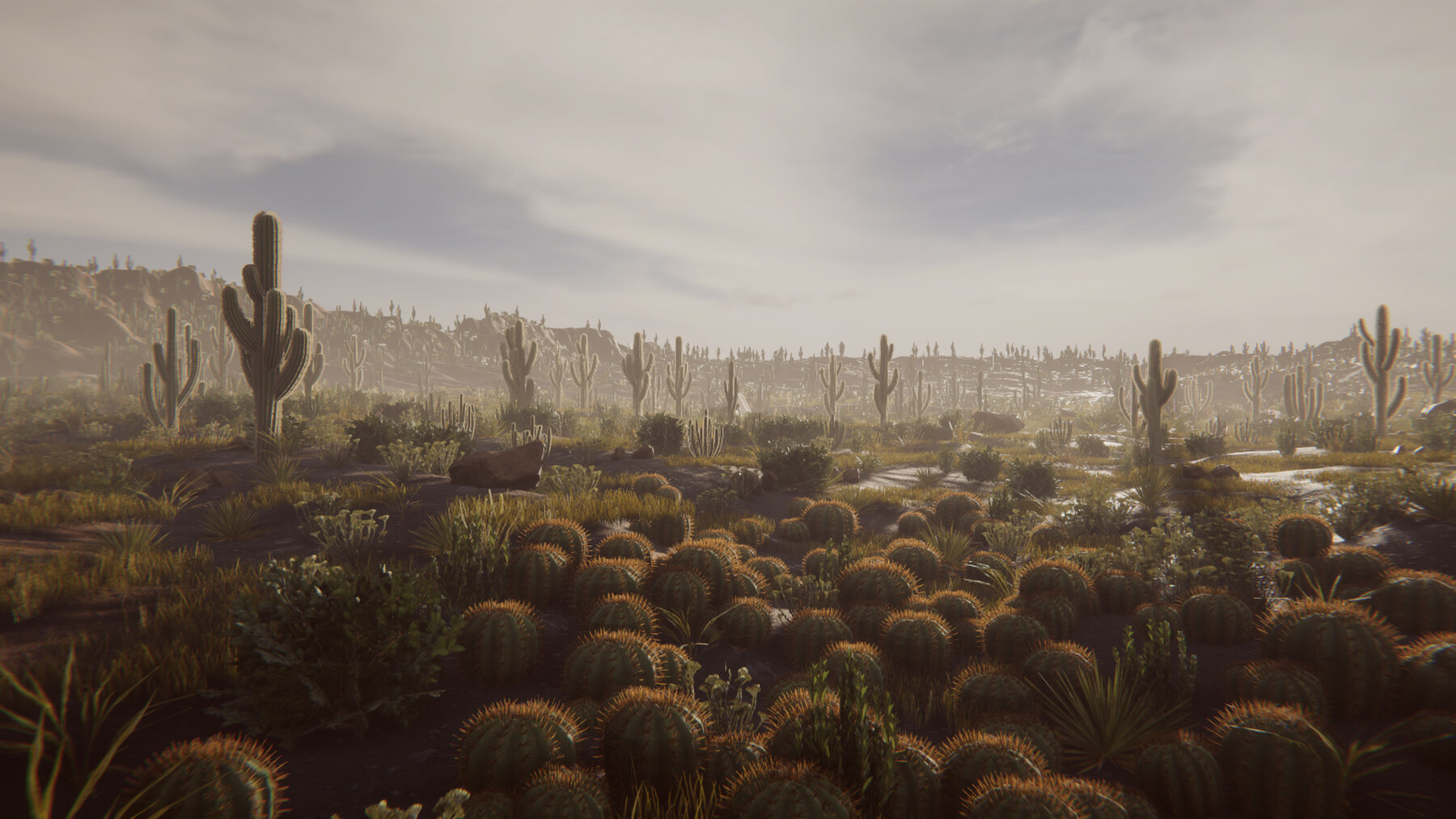 ArtStation - Mexican Desert (Unity Package) | Game Assets