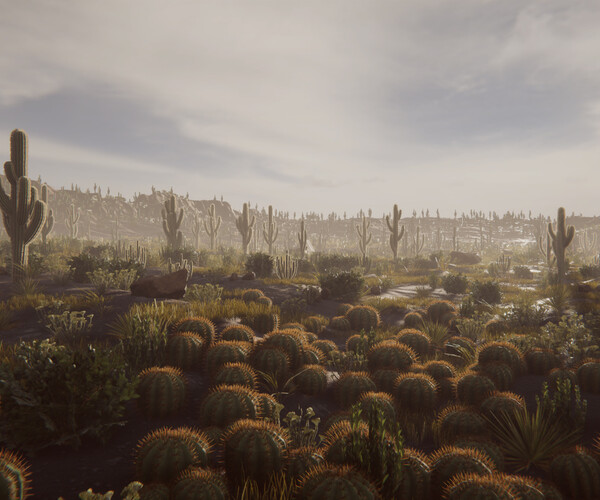 ArtStation - Mexican Desert (Unity Package) | Game Assets