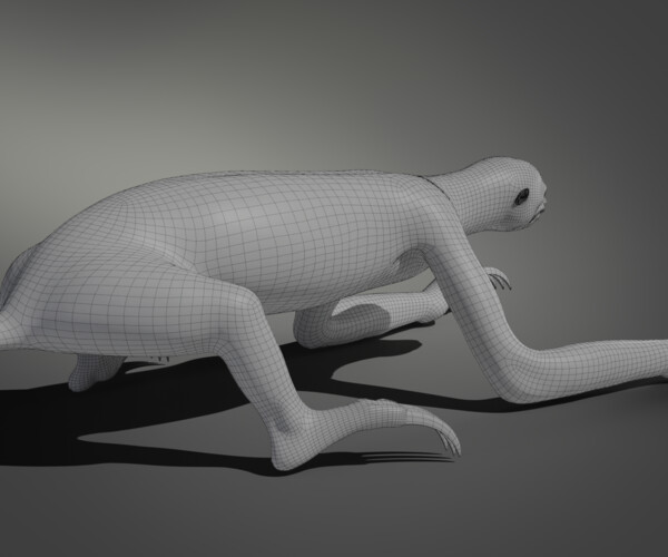 ArtStation - 3D Animal | Three-Toed Sloth Animated | Resources