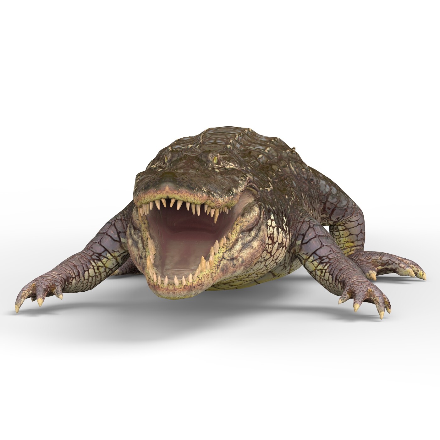 ArtStation - Alligator With PBR Textures | Game Assets