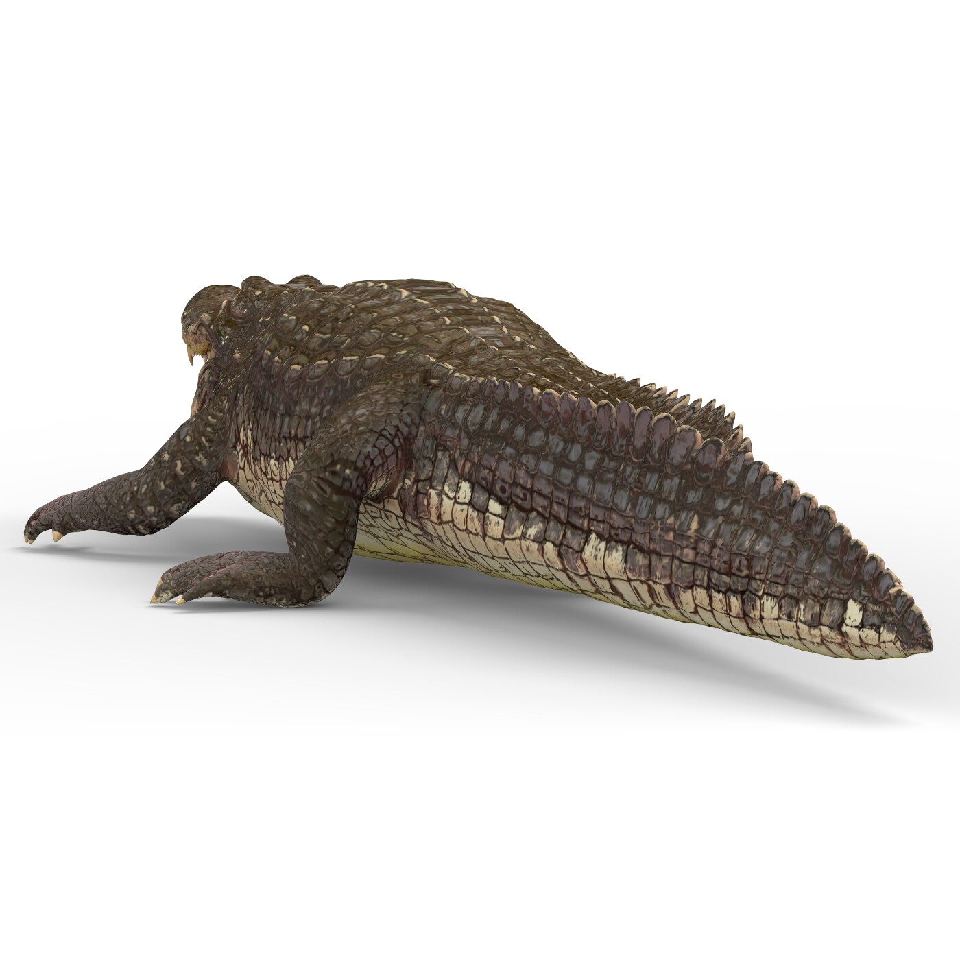 ArtStation - Alligator With PBR Textures | Game Assets