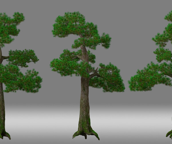 ArtStation - Pine tree | Resources