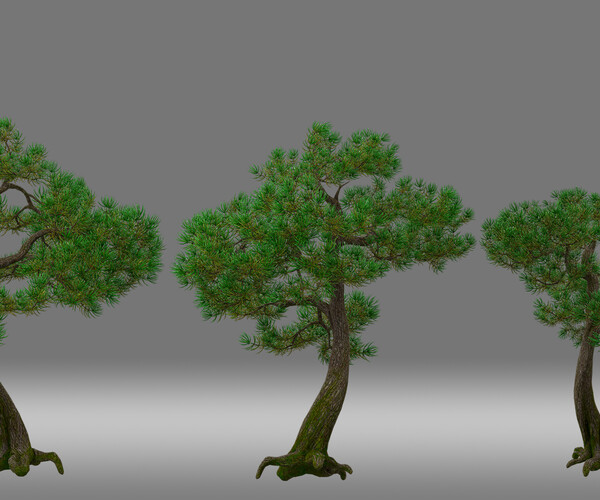 ArtStation - Pine tree | Resources
