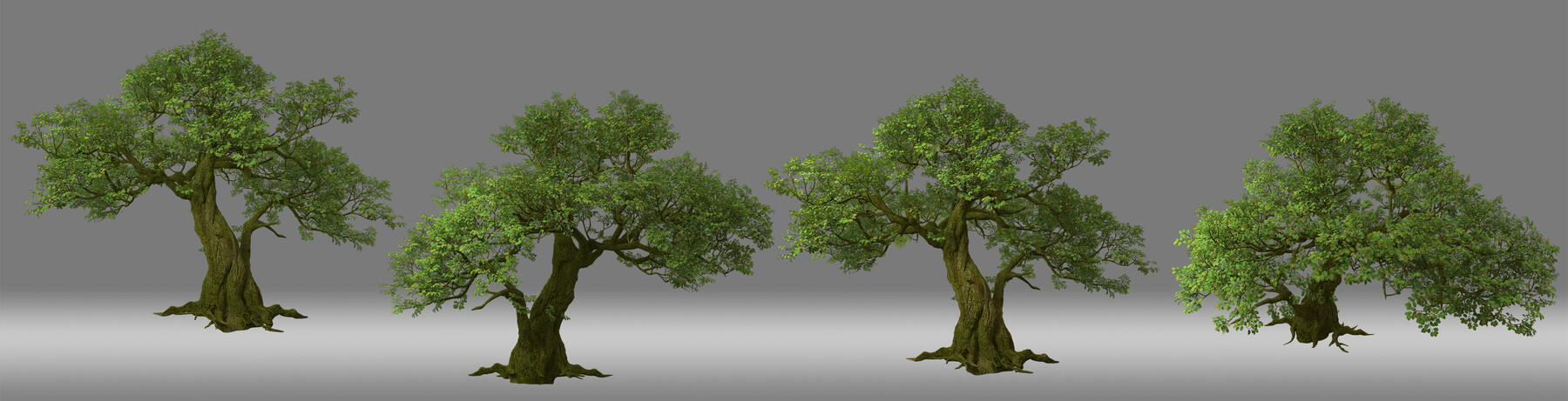 ArtStation - tree plant | Resources