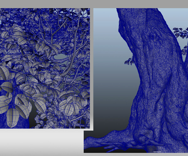 ArtStation - tree plant | Resources