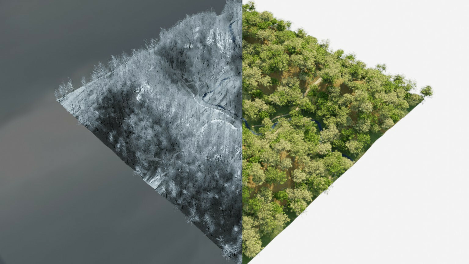 ArtStation - Forest by season in Blender | Resources