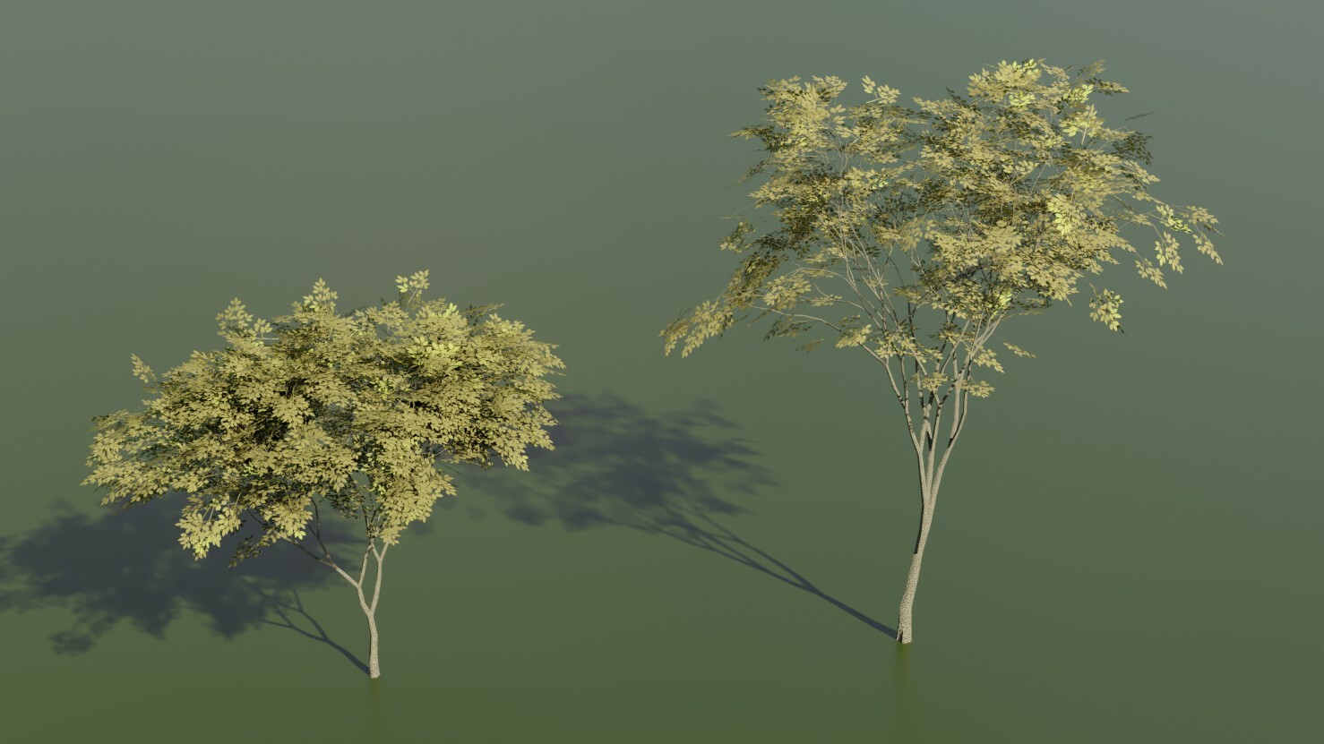 ArtStation - Forest by season in Blender | Resources