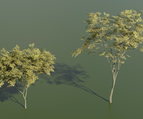 ArtStation - Forest by season in Blender | Resources
