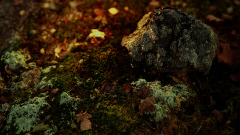 ArtStation - Medium Boulder | Resources