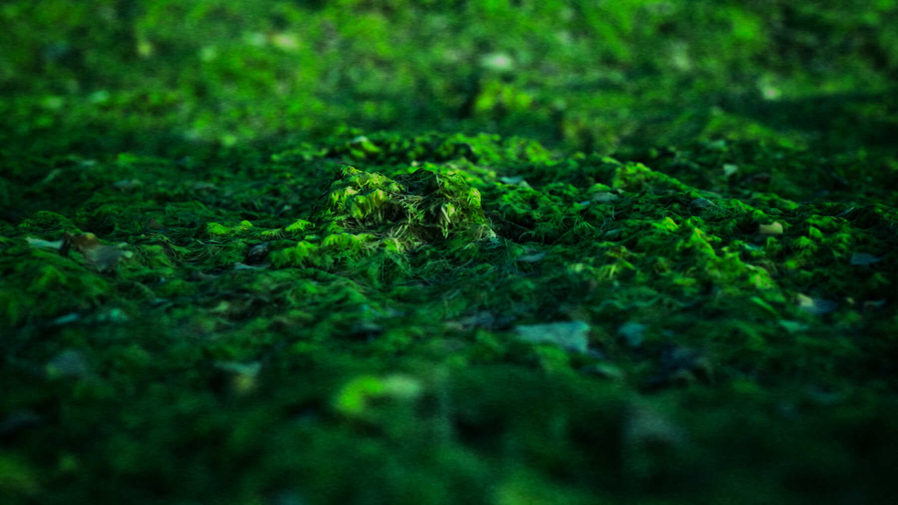 ArtStation - Flat mossy ground | Resources