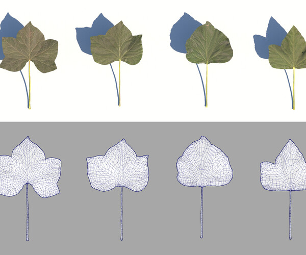 ArtStation - ivy leaves 3D model | Resources