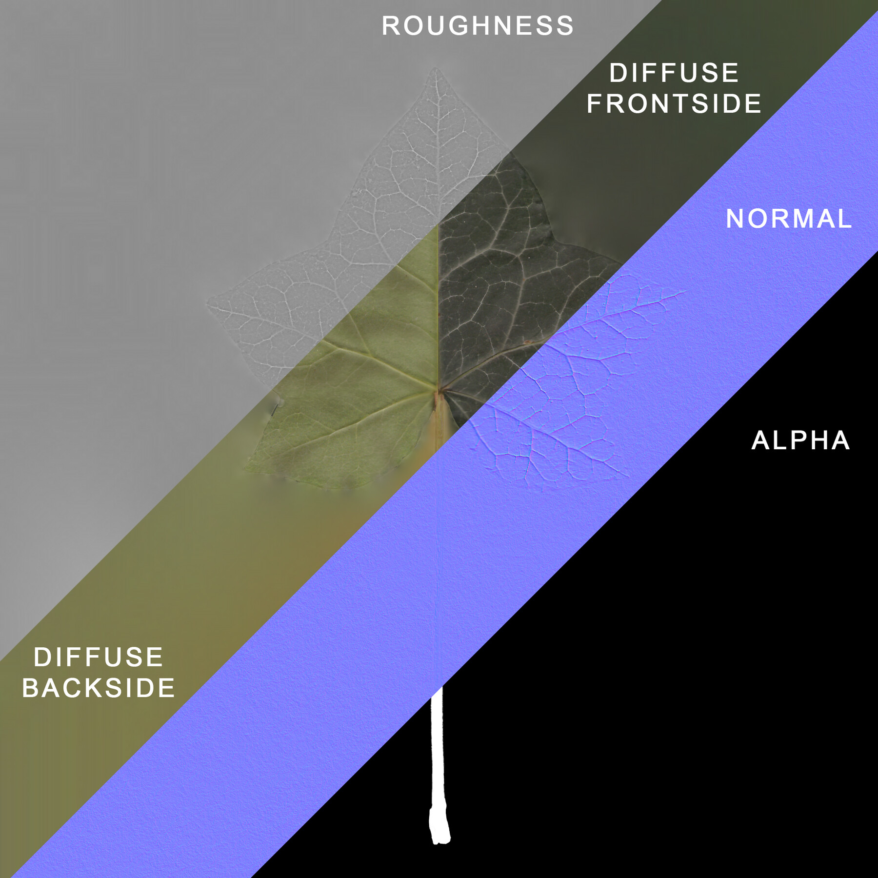 ArtStation - ivy leaves 3D model | Resources