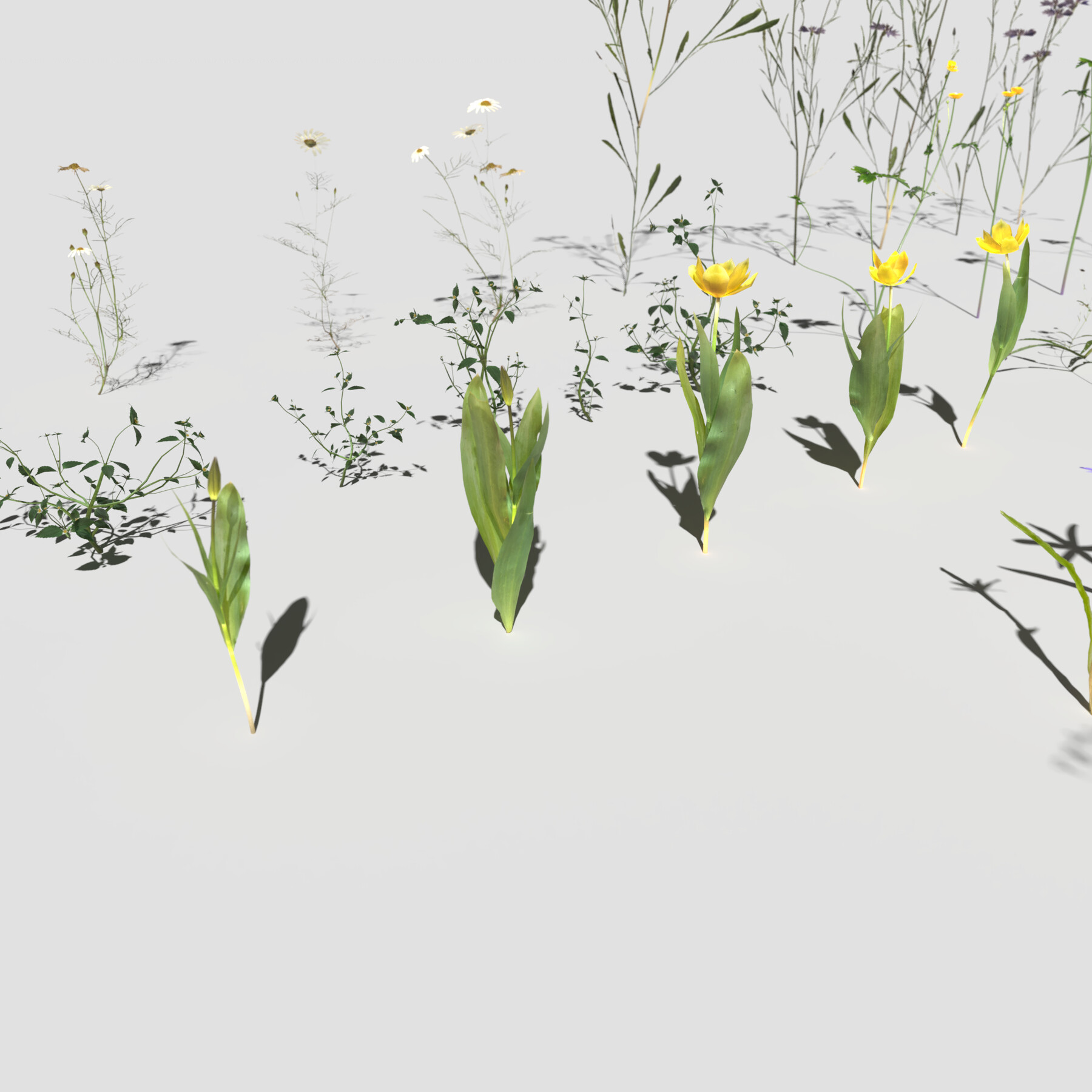 ArtStation - Wild Flower Plant Pack | Resources