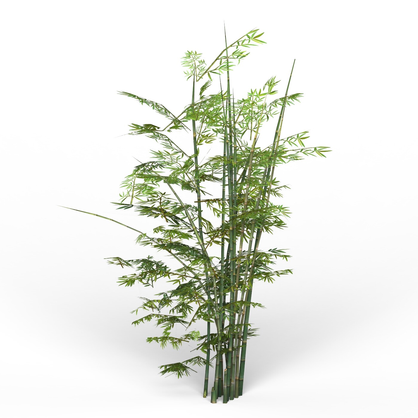 ArtStation - Bamboo Tree 01 | Resources