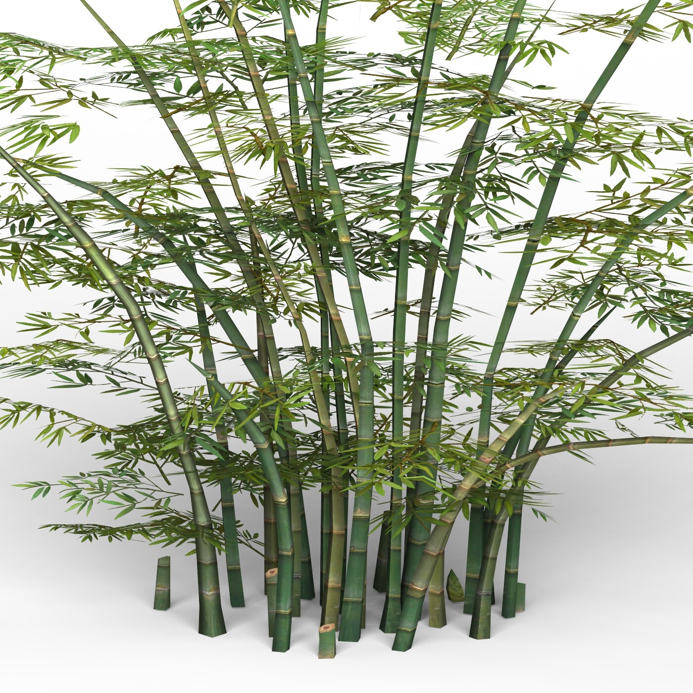 ArtStation - Bamboo Tree 02 | Resources