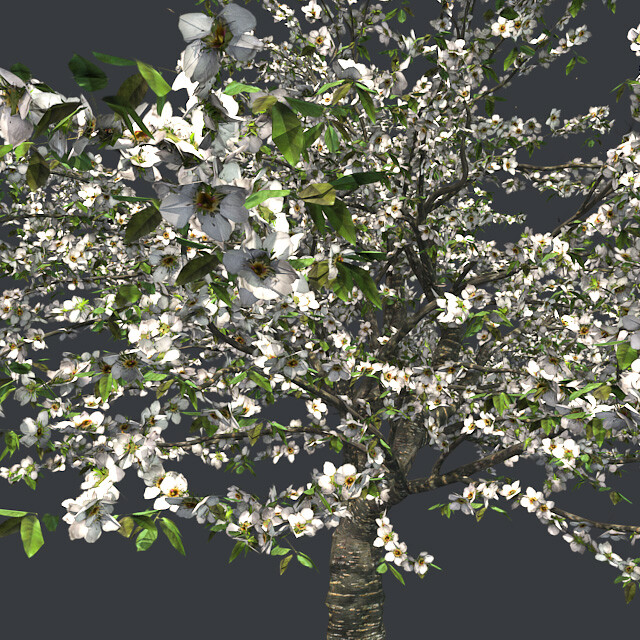 ArtStation - Cherry Blossoms Tree | Resources