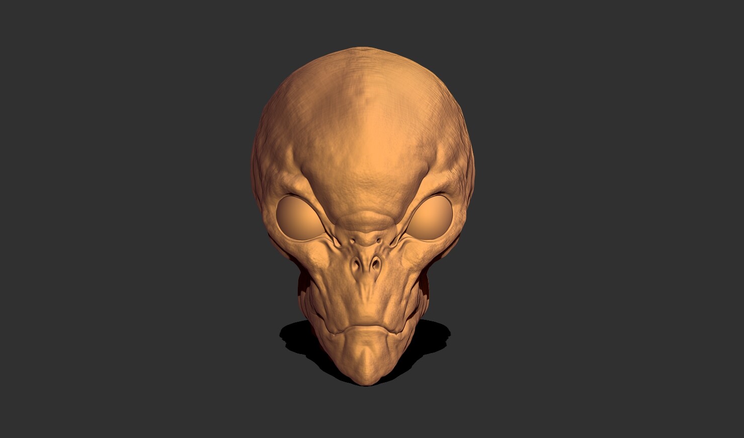 ArtStation - creature heads volume 1 | Resources